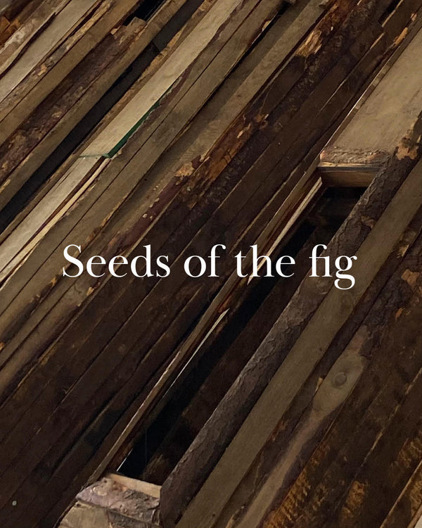 SCULPTED BY THE VINTAGE - Krone Cap Classique